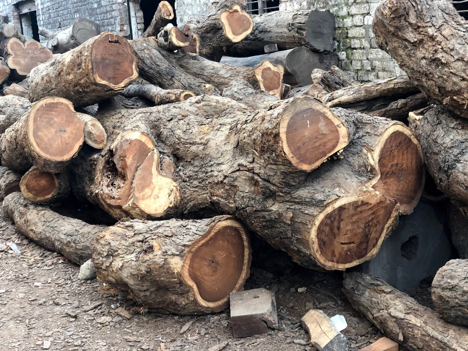 Sheesham wood - thechessempire